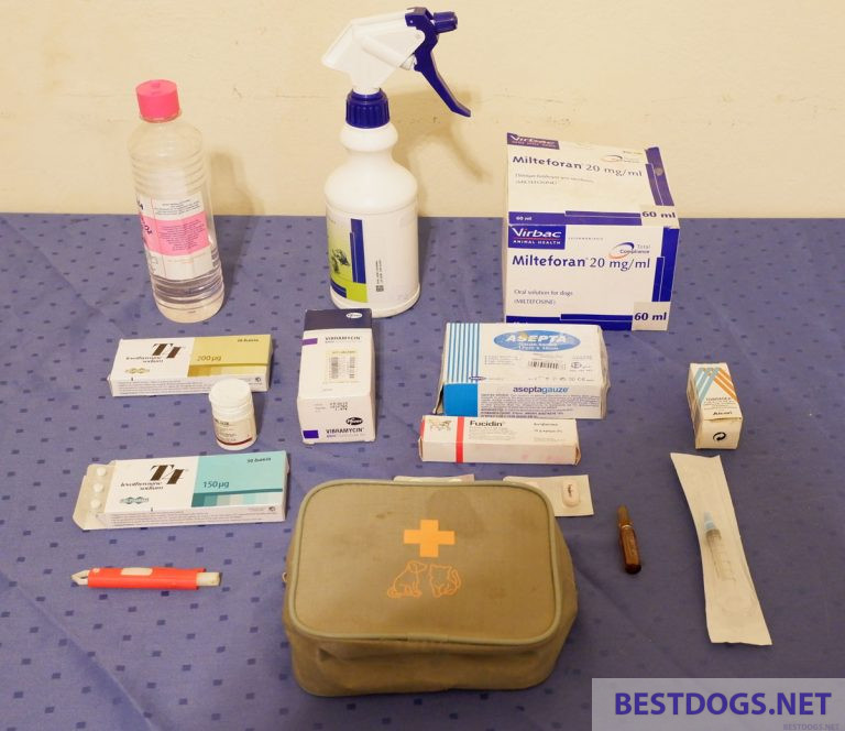 Dog pharmacy - Best Dogs